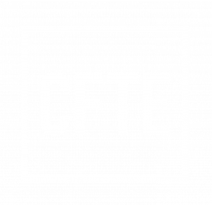 Ranking of Largest Fintech Companies in 2024 [Full List] - CFTE