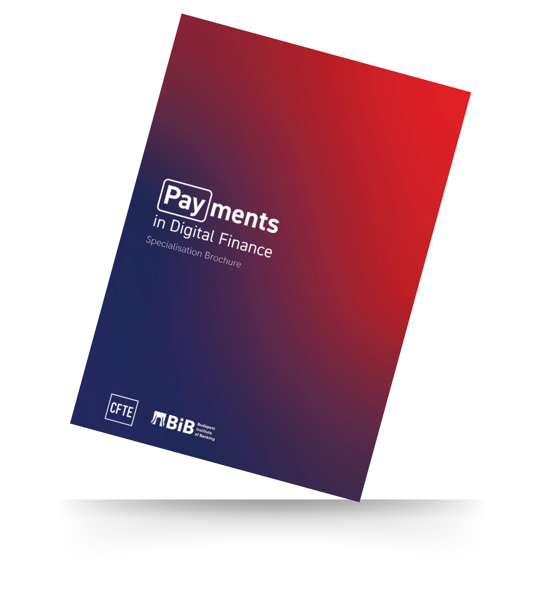 Payments Online Masterclass | Free digital payments course - CFTE